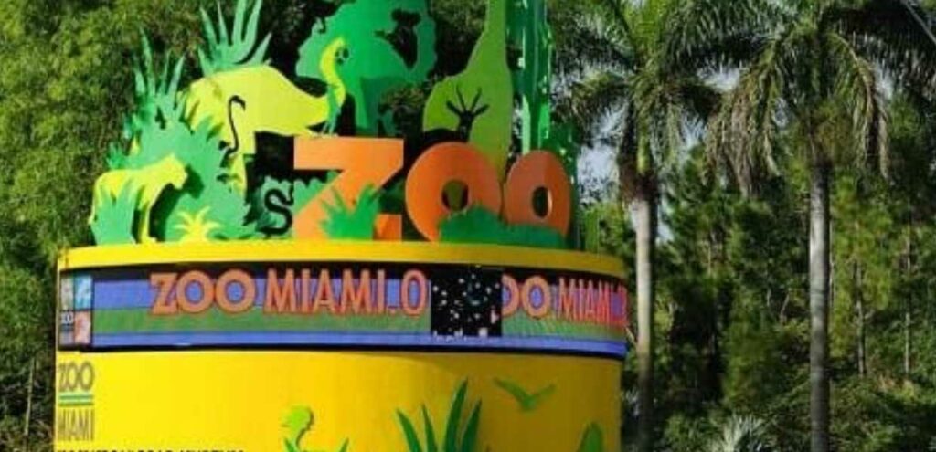 Zoológico de Miami se prepara para abrir el 14 de octubre tras daños causados por huracán Irma ...